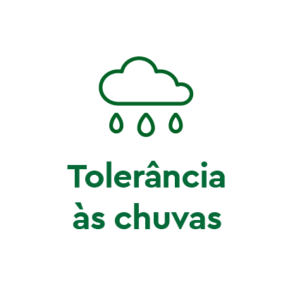 Dotte ® | Fungicida | Ourofino Agrociência
