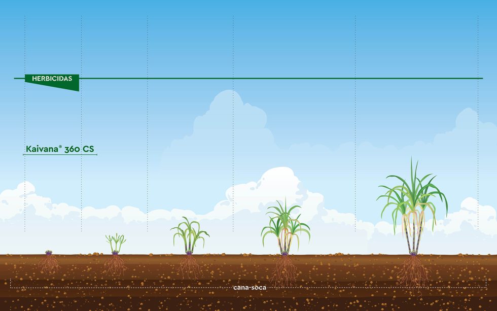 Kaivana ® 360 CS - Ourofino Agrociência
